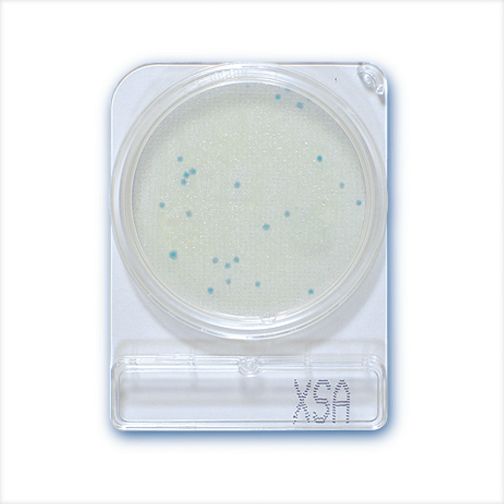 COMPACT DRY SL PARA VERIFICACIÓN DE SALMONELLA - CMLAB
